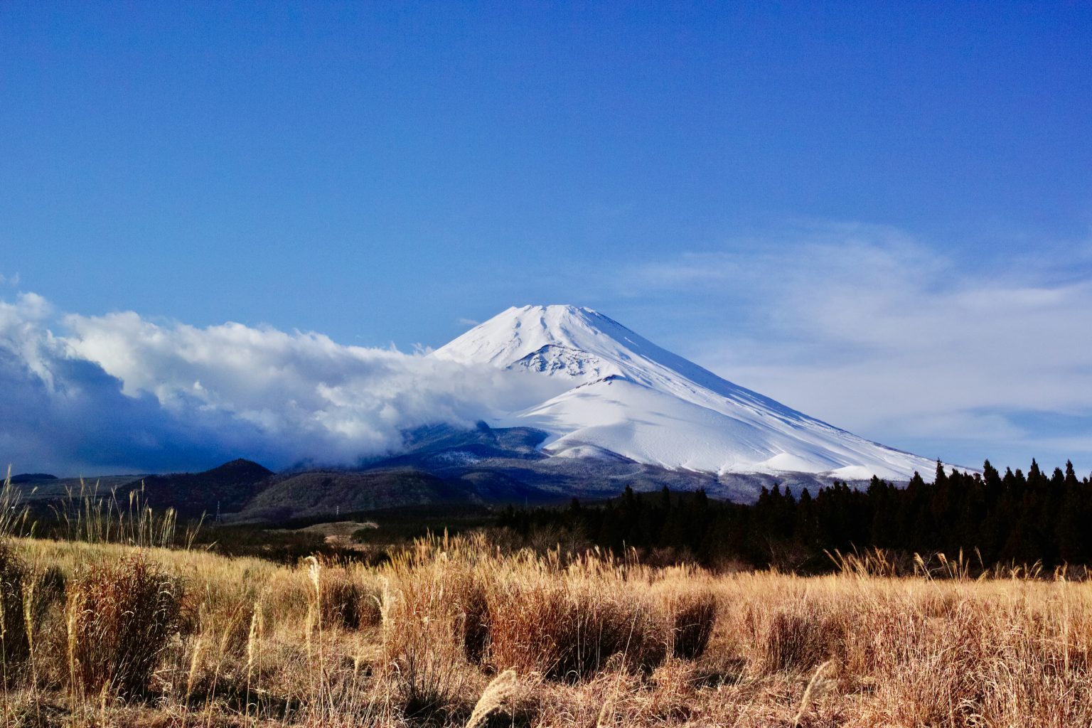 Best National Parks of Japan : #1 Fuji-Hakone-Izu National Park ...