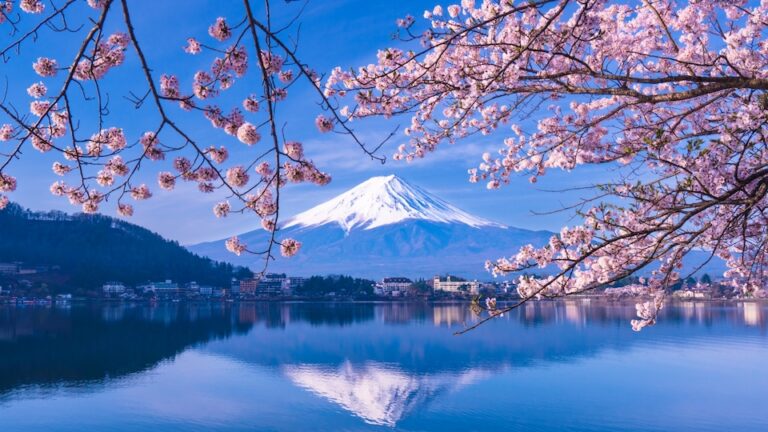 The Best Season to Visit Mt. Fuji for the Most Iconic Views - EAVES ...