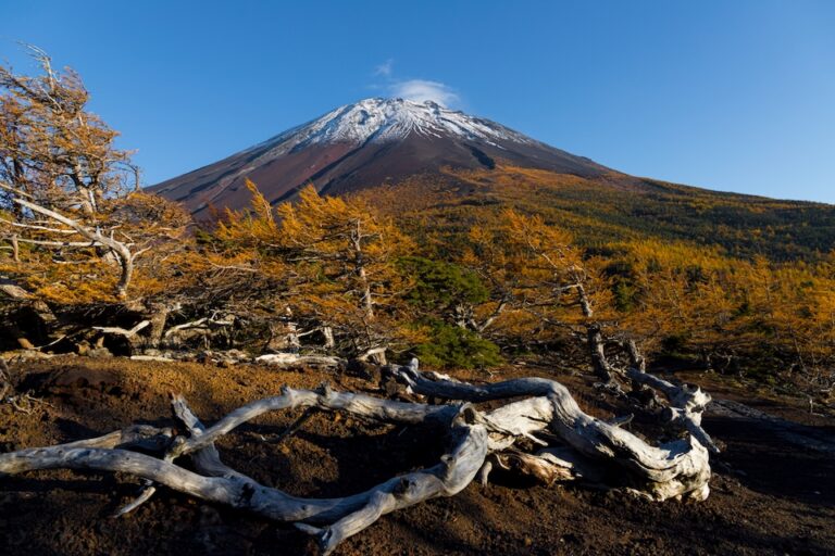 The Best Season to Visit Mt. Fuji for the Most Iconic Views - EAVES ...
